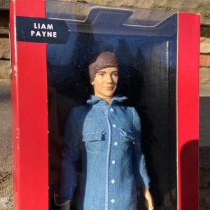1D | Other | D Liam Payne Collector Doll | Poshmark
